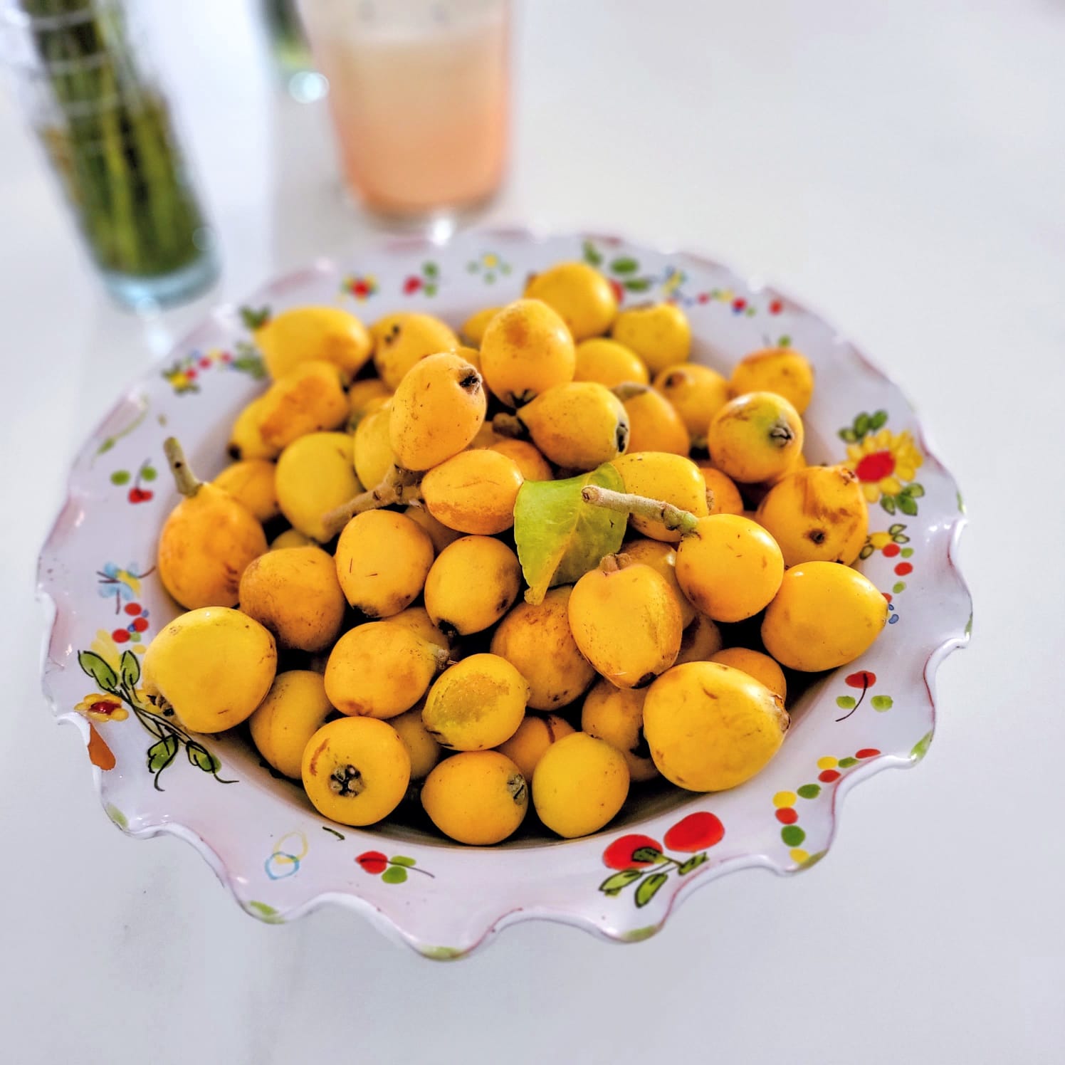 Zoom sur la nèfle - MG PEP'S