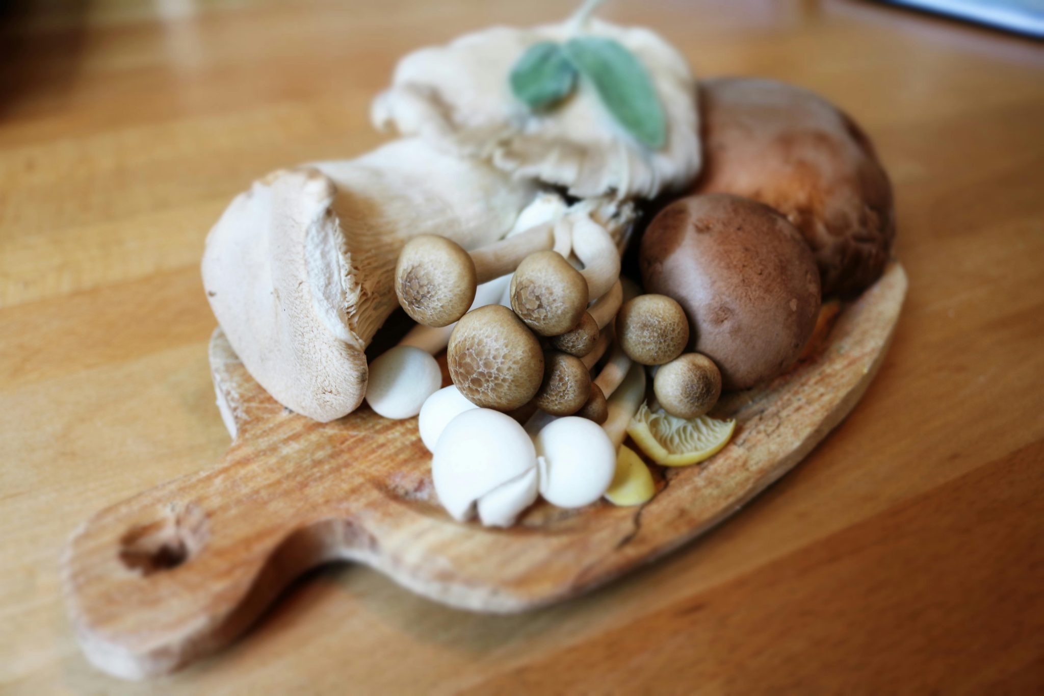 Les champignons : histoire, variétés, saisons, tout savoir sur ce ...